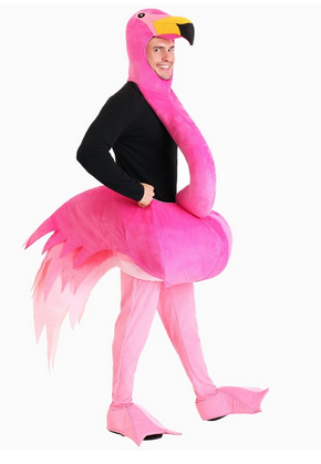 Tous les vêtements Flamant Rose | Royaume Flamant Rose